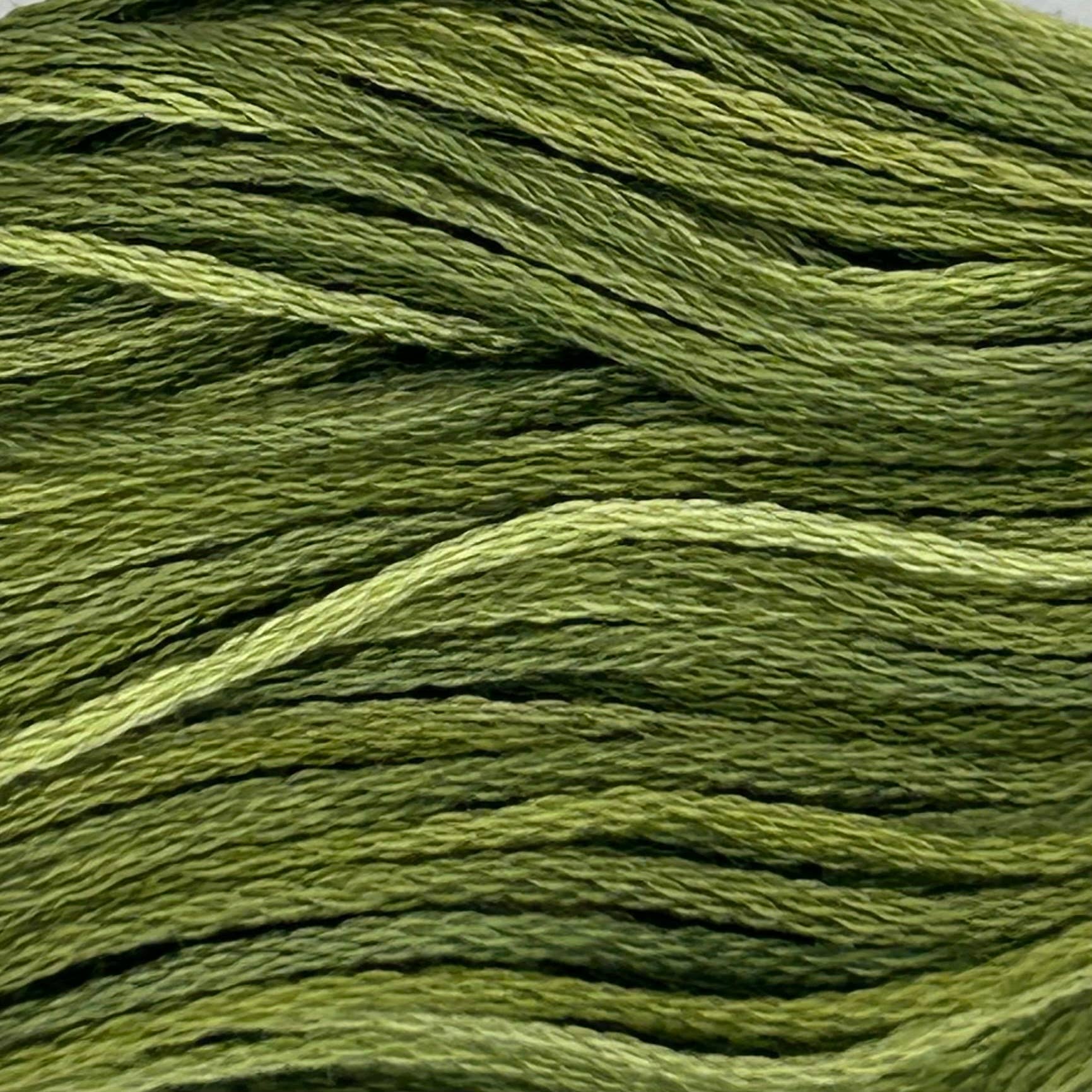 GR50 Leafy Green – Colour and Cotton