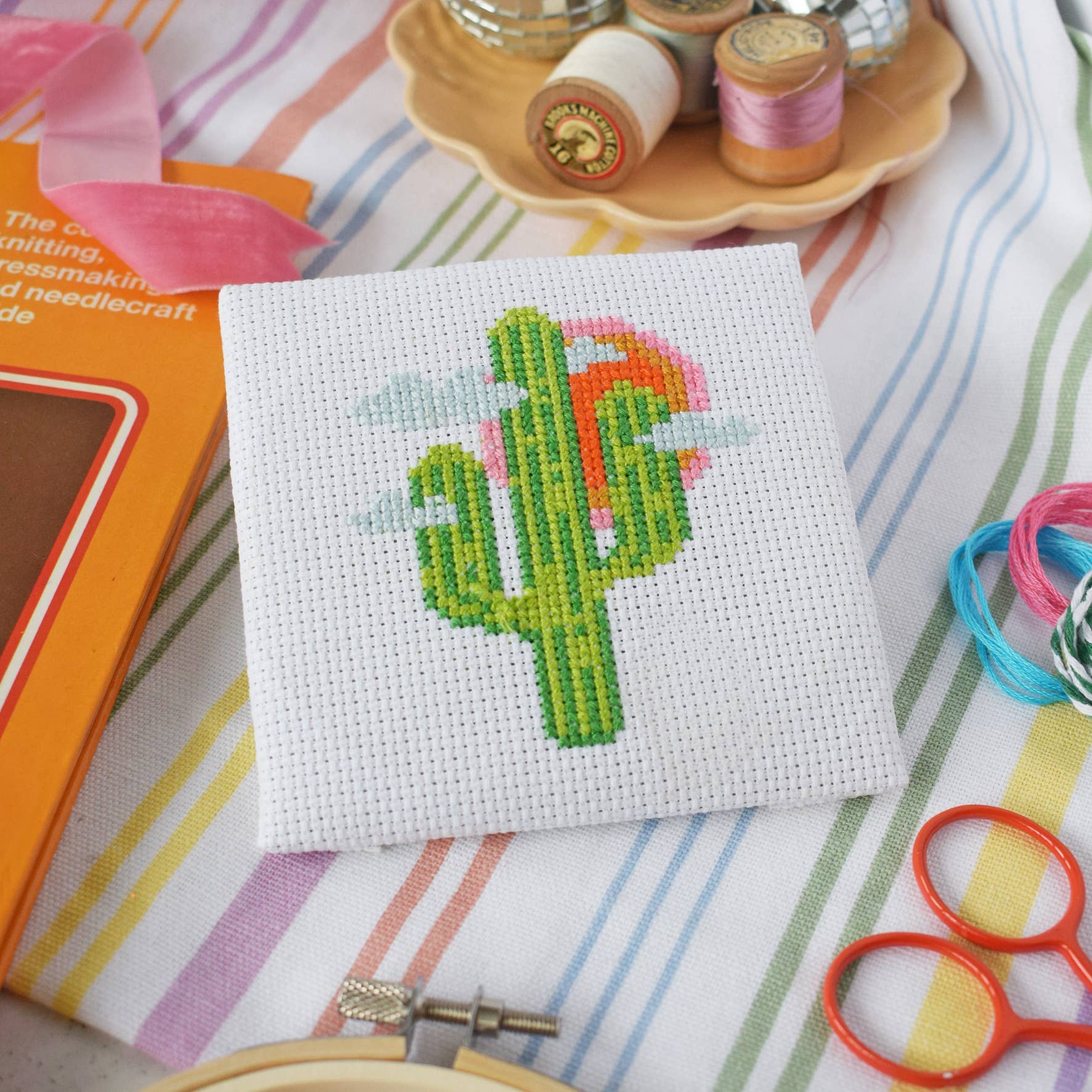 Cactus Mini Cross Stitch Kit – Colour and Cotton