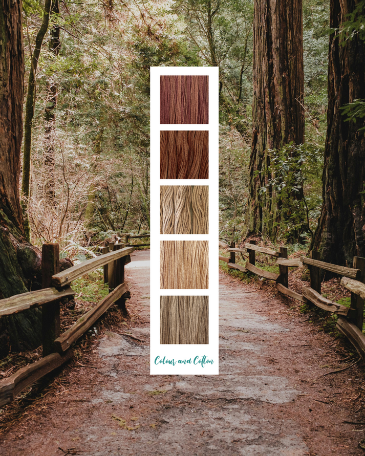 Thread Collection Walking Trail – Colour and Cotton